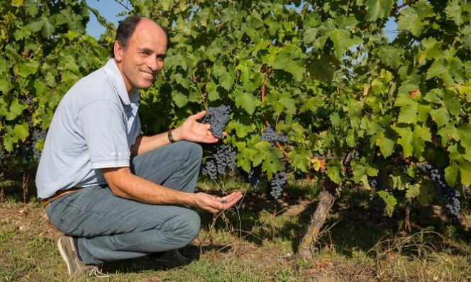 CHATEAU LA BRETONNIERE - Route des vins Bordeaux - MAZION